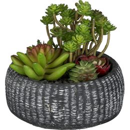 Kunstpflanze Creativ green, H:16cm, gr&uuml;n, Kunststoff, Kunstpflanzen, "Sukkulentenarrangement", mit trendiger Schale