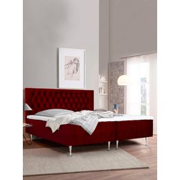 Boxspringbett Home Affaire, B:181cm L:208cm, rot, Samtoptik (100% Polyester), Komplettbetten, "Exclusive", inkl. Topper, 3 Breiten, 3
