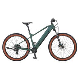Prophete E-Bike "Dice 1.0", 48cm, 27,5 Zoll (69,85cm)gr&uuml;n, schwarz, Elektrofahrr&auml;der