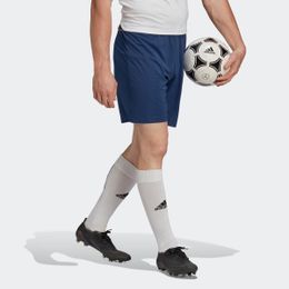 Trainingsshorts adidas Performance "ENT22 SHO", Herren, Gr. M, N-Gr, blau (team navy blau 2, normal, gr.), Obermaterial: 100% Polyester, bestickt, Hosen Trainingsshorts