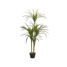 Beliani Kunstpflanze DRACAENA ANITA in Gr&uuml;n/Schwarz - (W) 55 x (H) 147 x (L) 55 cm | Gr.: onesize
