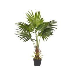 Beliani Kunstpflanze FAN PALM in Gr&uuml;n/Schwarz - (W) 35 x (H) 100 x (L) 30 cm | Gr.: onesize