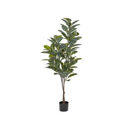 Beliani Kunstpflanze FICUS ELASTICA in Gr&uuml;n/Schwarz - (W) 66 x (H) 160 x (L) 66 cm | Gr.: onesize