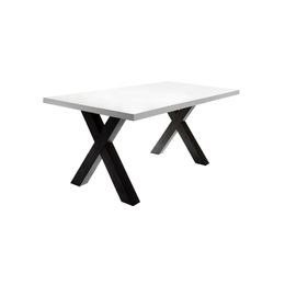 58 aufm Kessel ESSZIMMERTISCH Eike 8 140 x 90 x 75 Esstisch Schwarzstahl/Wei&szlig; Matt Lack | Gr.: onesize