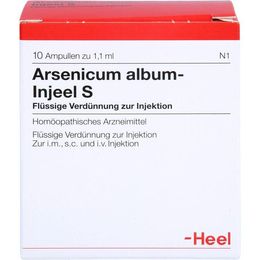 Heel Arsenicum Album Injeel S Ampullen 10 St