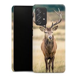 DeinDesign Galaxy A52s 5G Handy Premium Case Smartphone Handyh&uuml;lle Schutzh&uuml;lle matt Meadow Deer Forrest Premium Case