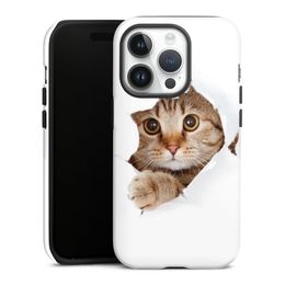 DeinDesign iPhone 14 Pro Handy Panzer Handyh&uuml;lle robuste Outdoor H&uuml;lle Schutzh&uuml;lle matt Animals Pet Cat Tough Case