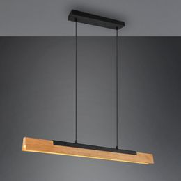 Trio Leuchten Kerala Pendelleuchte, LED, 341610132,