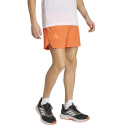 Adidas Terrex Xperior CLIMA365 5 Inch Shorts Herren