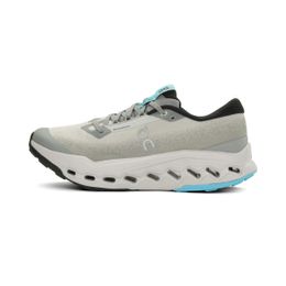 On Cloudsurfer Trail 2 Waterproof Herren