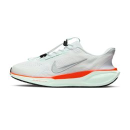 Nike Pegasus EasyOn Herren