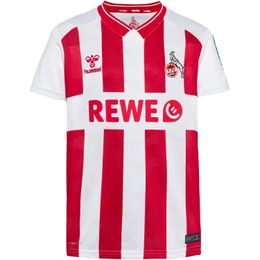 Hummel 1. FC K&ouml;ln 25-26 HOME Teamtrikot Kinder - Gr&ouml;&szlig;e 164 - wei&szlig;