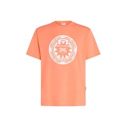 O`Neill O'neill T-Shirt 'Musthave' Herren Gr&ouml;&szlig;e L apricot / wei&szlig;