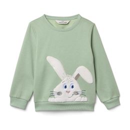 Tchibo - Sweatshirt mit angerauter Innenseite - Jungen - Gr. 110/116 - mintgr&uuml;n