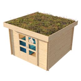 Karibu Gartenhaus mit bepflanzbarem Dach - 297x237x225cm - naturfarben - Fichtenholz / Glas