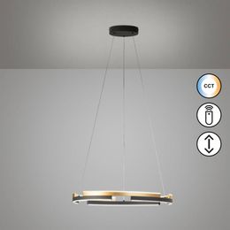 Fischer und Honsel Fischer & Honsel Circly Pendelleuchte, LED, 61123,