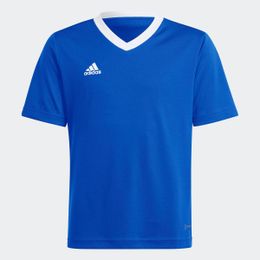 Fu&szlig;balltrikot adidas Performance "ENT22 JSY Y", Kinder, Gr. 140, blau (royal blau), Obermaterial: 100% Polyester, bestickt, V-Ausschnitt, Trikots Fu&szlig;balltrikot