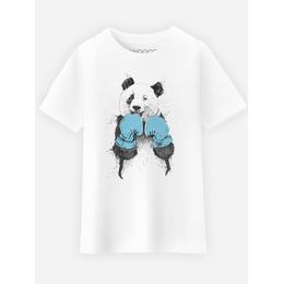 WOOOP Shirt "The winner Panda" in Wei&szlig; - 64% | Gr&ouml;&szlig;e 92 | Kinder-oberteile