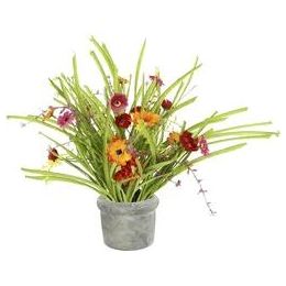 Kunstblume I.GE.A. "Bl&uuml;tenbusch", orange, B:30cm H:43cm L:24cm, Polyester, Kunstpflanzen, Im Topf Bl&uuml;tenbund K&uuml;nstlicher Grasbusch mit Kunstblumen