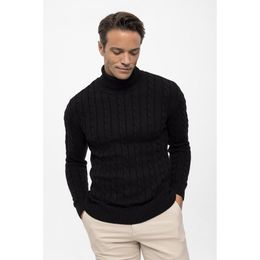 Felix Hardy Herren Rollkragenpullover &raquo;Rollkragenpullover aus Kabelstrick&laquo; M