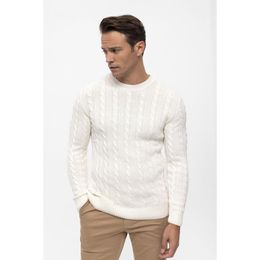 Felix Hardy Herren Rundhalspullover &raquo;Pullover mit Rundhalsausschnitt aus Kabelstrick&laquo; M