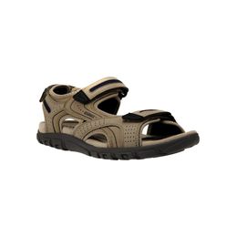 Geox Strada in Sand | Gr.: 41