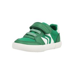 Geox Sneaker in Gr&uuml;n | Gr.: 24