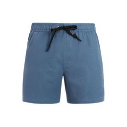 Protest " PRTWytona in Empire Blue | Gr.: XL