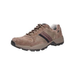 Pius Gabor Sneaker in beige | Gr.: 42,5