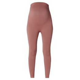 Noppies Umstandsleggings Reva in Burlwood | Gr.: XS/S