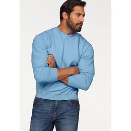 Fruit of the Loom Herren Fruit of the Loom Sweatshirt, im unifarbenen Design blau L (52/54)