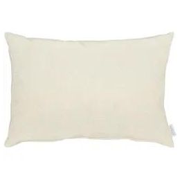 Dekokissen Apelt "Tony" Gr. 1, beige (natur, unifarben), B:41cm L:61cm, Polyester, Dekokissen_Sitzkissen_Kissenh&uuml;llen, in ausdrucksstarken Farben, Kissenh&uuml;lle ohne F&uuml;llung, 1 St&uuml;ck