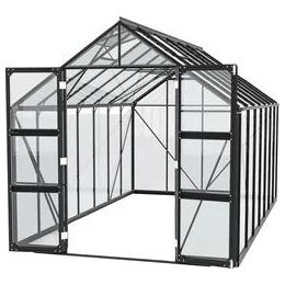 Gew&auml;chshaus Vitavia "Domus 11500", schwarz, B:257cm H:253,9cm T:449cm, Gew&auml;chsh&auml;user, Doppelschwingt&uuml;ren und bodentiefer T&uuml;rschwelle, 3 mm Sicherheitsglas
