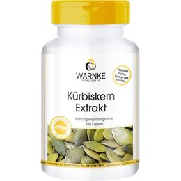 K&uuml;rbiskern Extrakt Kapseln 250 St