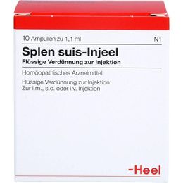 Heel Splen suis Injeel Ampullen 10 St