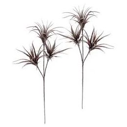 Kunstpflanze I.GE.A. "Tillandsia", lila (mauve), B:23cm H:63cm, Kunststoff, Kunstpflanzen, Kunstpflanze, 2er Set