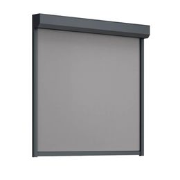 Au&szlig;enrollo, eckig 45&deg;, Anthrazitgrau, 600 x 600 mm, Tuch Dunkelgrau, ohne Motorsteuerung, individuell konfigurieren