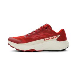 Salomon Pulsar Herren
