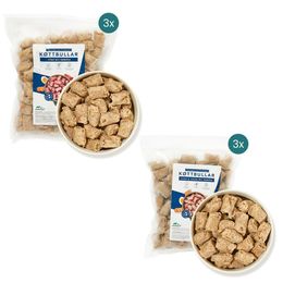 Haustierkost Einsteigerpaket f&uuml;r kleinste Hunde