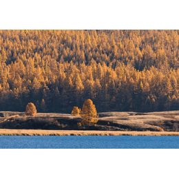 Fototapete papermoon "See am Wald", bunt, B:4m L:2,6m, Vlies, Tapeten