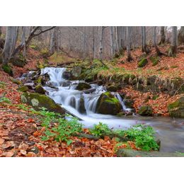Fototapete papermoon "Fluss durch Wald", bunt, B:4m L:2,6m, Vlies, Tapeten