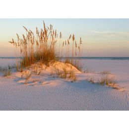 Fototapete papermoon "D&Uuml;NEN- MEER SEE K&Uuml;STE NORDSEE OSTSEE STRAND SYLT GRAS", bunt, B:4m L:2,6m, Vlies, Tapeten