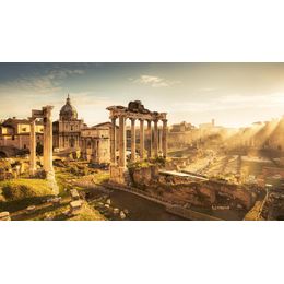 Vliestapete Komar "Digitaldruck Vlies - Forum Romanum - Gr&ouml;&szlig;e 500 x 280 cm", braun, B:500m L:280m, Vlies, Tapeten, Wohnzimmer, Schlafzimmer
