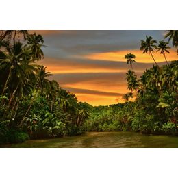 Fototapete papermoon "Fluss im Dschungel", bunt, B:4m L:2,6m, Vlies, Tapeten