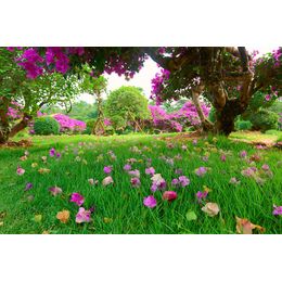 Fototapete papermoon "Rasenblumen", bunt, B:3,5m L:2,6m, Vlies, Tapeten