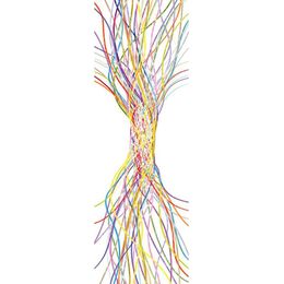 Fototapete ARCHITECTS PAPER "Cable Tangle White", bunt (bunt, wei&szlig;), B:1m L:2,8m, Vlies, Tapeten, Grafik Tapete Natur Fototapete Grafisch Panel Wei&szlig; Bunt 1,00m x 2,80m