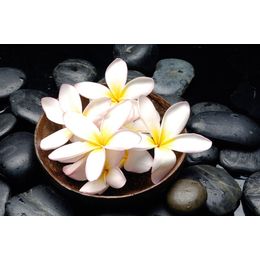 Fototapete papermoon "Blumen mit Steinen", bunt, B:3,5m L:2,6m, Vlies, Tapeten