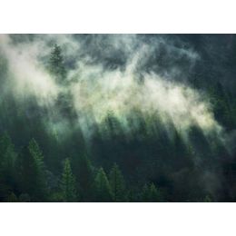 Vliestapete Komar "Digitaldruck Vlies - Misty Crowns - Gr&ouml;&szlig;e 350 x 250 cm", gr&uuml;n (gr&uuml;n, wei&szlig;), B:350m L:250m, Vlies, Tapeten, Wohnzimmer, Schlafzimmer