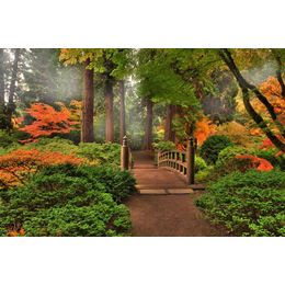 Fototapete papermoon "Japanischer Garten", bunt, B:5m L:2,8m, Vlies, Tapeten