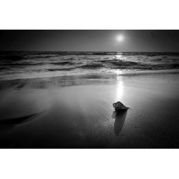 Fototapete papermoon "Strand Schwarz & Wei&szlig;", schwarz (schwarz, wei&szlig;), B:4,5m L:2,8m, Vlies, Tapeten